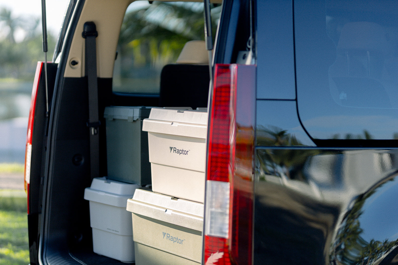 Raptor | Protect your Passion